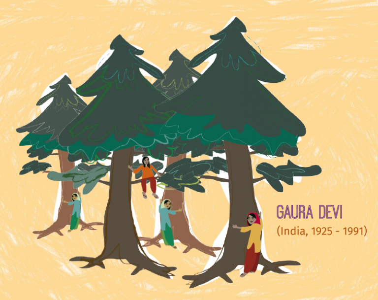 Gaura Devi • Pandora Mirabilia